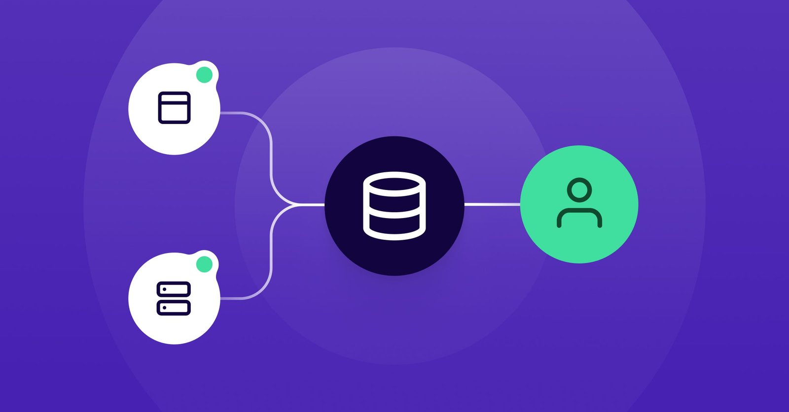 Customer Data Platforms (CDPs): The Ultimate Guide to Boosting Business ...